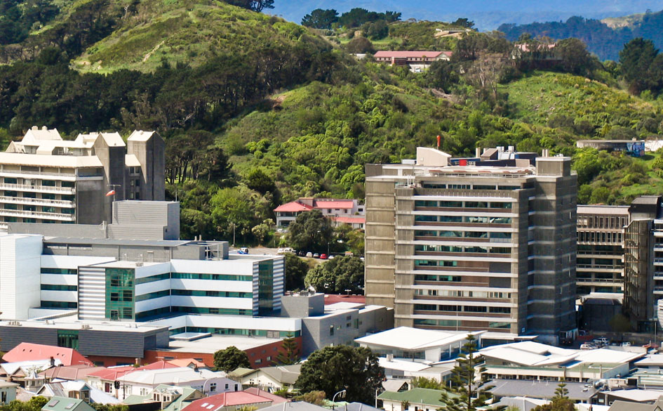 Wellington Hospital - CSB Building | Thermosash Building Envelope Solutions